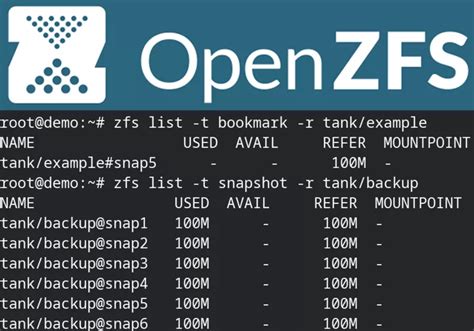Understanding The Difference Between Zfs Snapshots Bookmarks And Checkpoints Avid Andrew