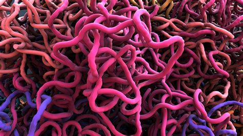 Machine Learning Method Reveals Chromosome Locations In Individual Cell Nucleus