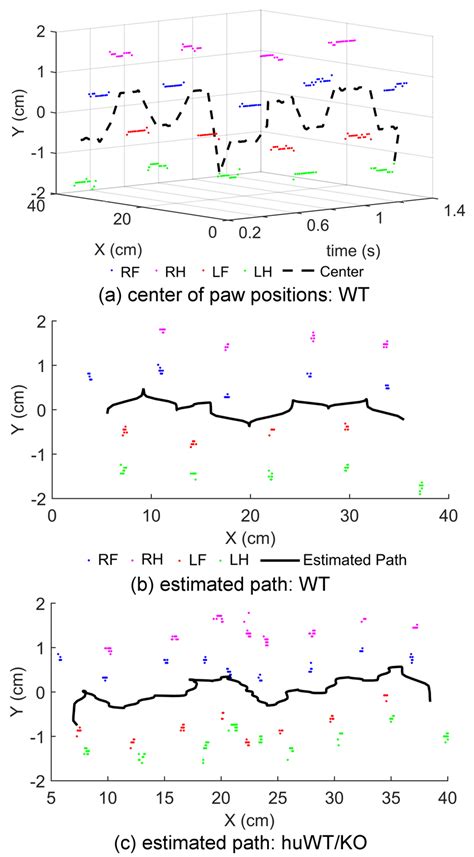 6 Examples Of Paw Positions Taken From The Same Paw Positions As In 2 Download Scientific