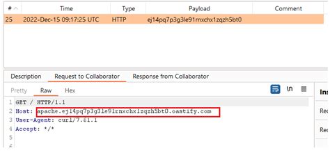 Phân Tích Lỗ Hổng Unauthenticated Command Injection Cve 2022 46169