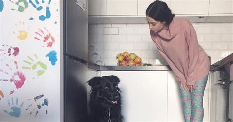 Tak Mieszka Gwiazda Klanu