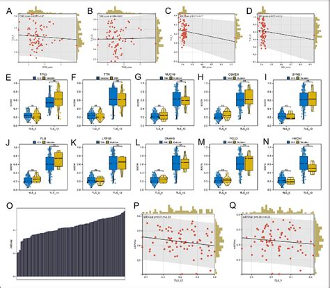 Figure 7 From Integrative Analysis Of Tertiary Lymphoid Structures And