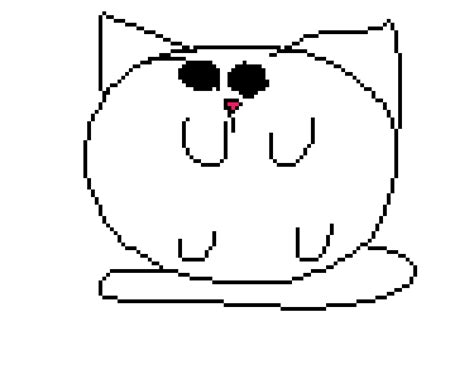 Ms Choksondik Cat  At Frank Hansen Blog