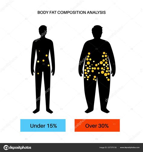 Human Body Composition Chart