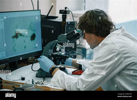 Scientist Examines Cannabis Sativa Mold Through An Electron Microscope