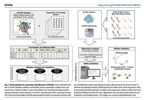 Innovative Machine Learning Driven Discovery Of Broadly Neutralizing Antibodies Against Hiv 1