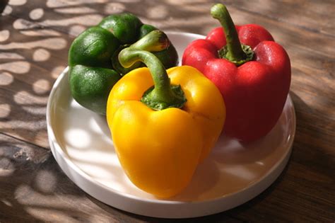 파프리카는 가지 부족 또는 Solanaceae에서 달콤하고 약간 매운 맛이 나는 과일 생산 식물입니다 녹색 노란색 빨간색 또는 보라색 과일은 종종 샐러드 믹스로 사용됩니다