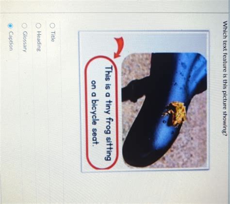 Which Text Feature Is This Picture Showing StudyX