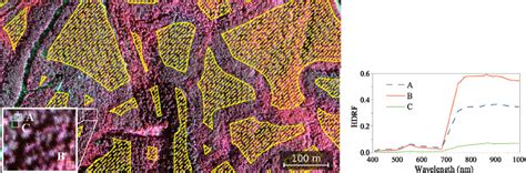 High Spatial Resolution Imaging Spectroscopy Data Displayed As Color