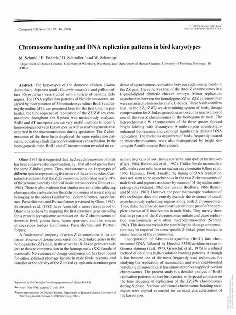 Pdf Chromosome Banding And Dna Replication Patterns In Bird