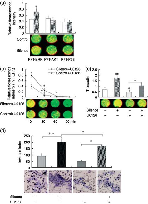 Nme1 Controls Mapkerk12 Signaling And Invasion Of Trophoblast Cells