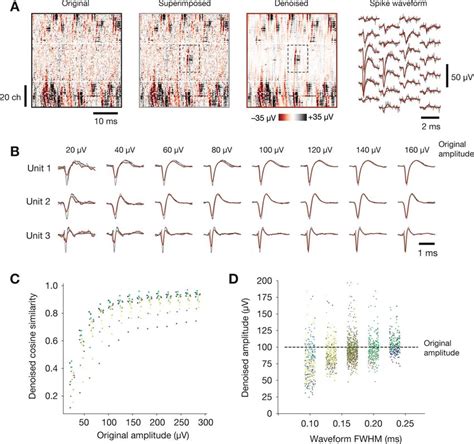 Results Of Simulated Ground Truth Electrophysiology Experiments A