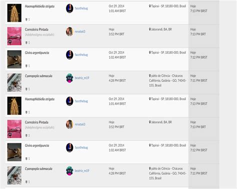 Duplicated Records Appear When Using The Explore Function Bug Reports