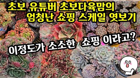 남다른 초보 유튜버님의 엄청난 다육이 쇼핑 스케일 엿보기 🌸 나와 다르지만 틀린건 아니다 👌부러우면 지는건디 부럽다요~😆 Youtube
