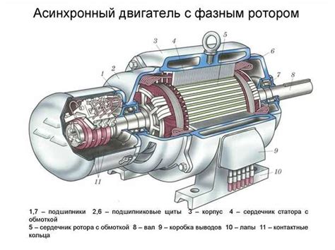 Что такое коллекторные машины переменного тока