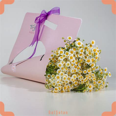 دسته گل بابونه معطر گُل‌سِتان