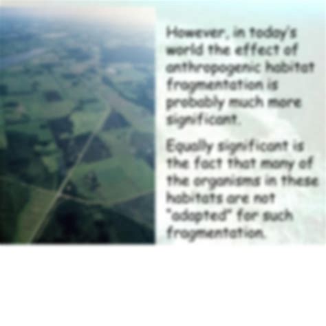 Solution Habitat Loss And Fragmentation Why So Importantits Causes
