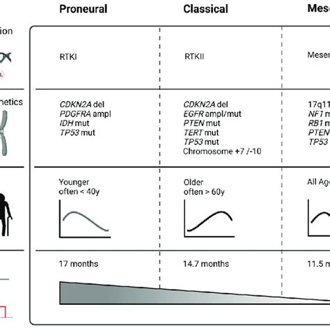 Gbm Subclasses Based On The Cancer Genome Atlas Tcga Project And