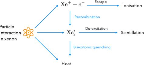 Figure 1 From Dual Phase Xenon Time Projection Chambers For Rare Event