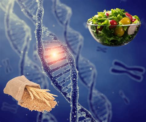 Understanding Mthfr Gene Mutation And Folate Absorption Food 4
