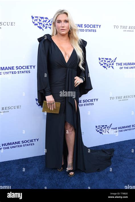 May 4 2019 Hollywood California Us Kesha Arrives For The 2019 Humane Society Gala At
