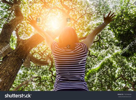 Baobab Tree Rise Images Stock Photos Vectors Shutterstock