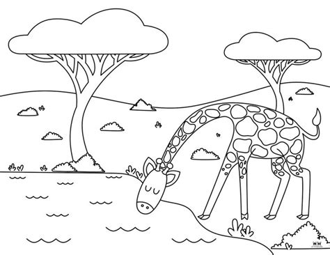 Giraffe Coloring Pages And Templates Free Printabulls Giraffe