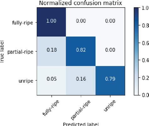 Figure 5 From Convolutional Neural Network For Pineapple Ripeness Classification Machine