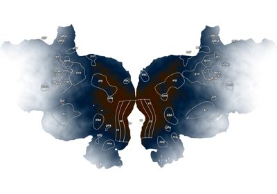 Example Gallery Pycortex Documentation