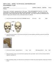 Unit 4 At Home Assignment 4 Sexing And Aging 1 Docx ANTH 2301 INTRO TO PHYSICAL