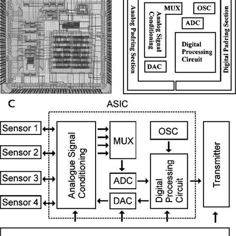 The Microelectronic Sensors A Schematic Diagram Of Chip 1 Download Scientific Diagram