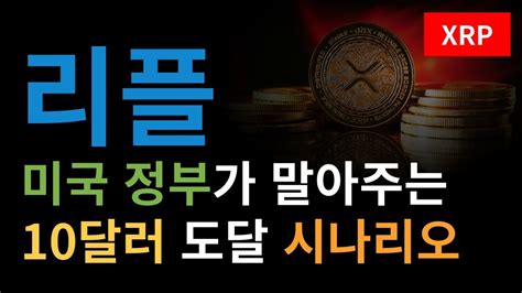 리플 전망 미국 정부가 말아주는 리플의 10달러 도달 시나리오 같이 보시죠 Youtube