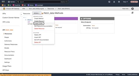 How To Solve The Cors Error Access Control Allow Origin When Trying To