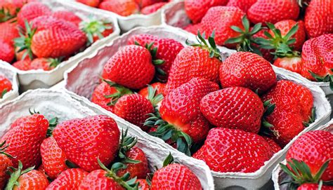 Купить клубнику Тавда 🍓 - свежая, замороженная, белая, черный принц ...