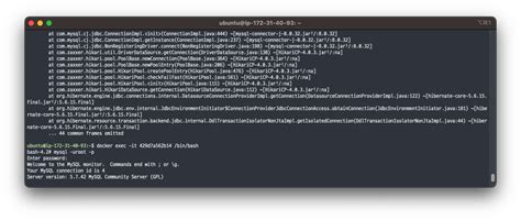 Springbootmysqldocker 멀티 컨테이너 환경 구성 Ec2에서 실행하기 3