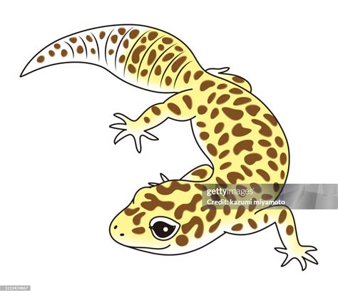 Hydhomon Lizard Modoki Eublepharis Macularius Character Illustration High Res Vector Graphic