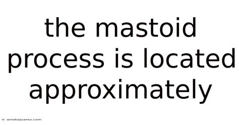 The Mastoid Process Is Located Approximately