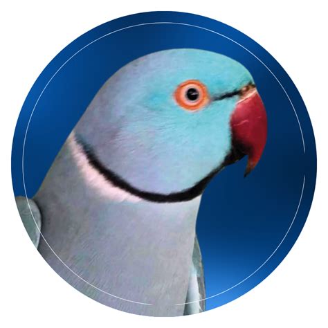 Nutribiótica Ringneck Natural 5kg Pássaros Brasil