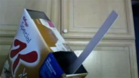 Learn From Nasa How To Make An Eclipse Cereal Box Viewer Boston News