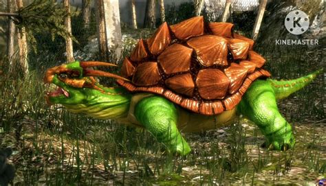 Dragon Turtle All Species Wiki Fandom