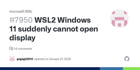 WSL Windows Suddenly Cannot Open Display Issue Microsoft WSL GitHub