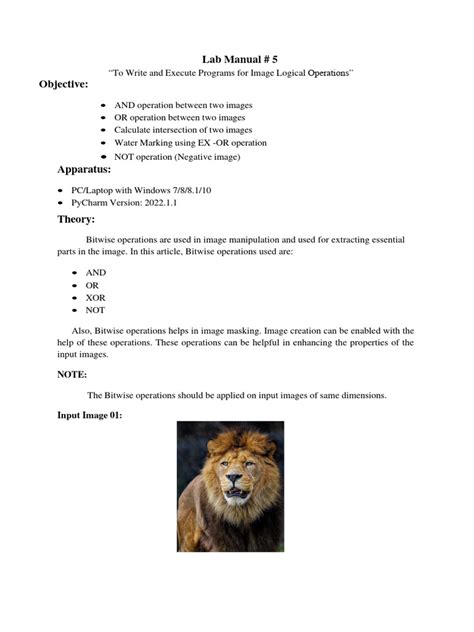 18dip lab 5 pdf software engineering computer engineering