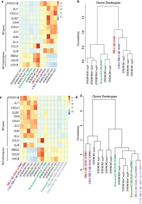 Scrna Seq Analysis Revealed Similar Expression Profiles Between