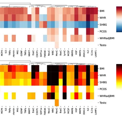 genetic correlations top and log10 p value bottom computed via