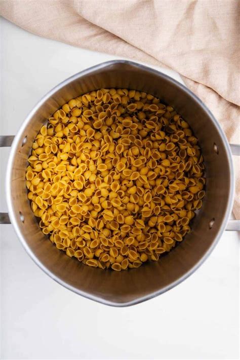 Easy Sopa De Conchas