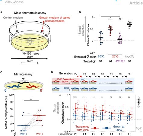 Figure 1 From Transgenerational Inheritance Of Sexual Attractiveness Via Small Rnas Enhances
