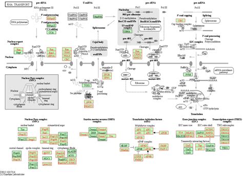 Functional Analysis For Rna Seq Training Modules