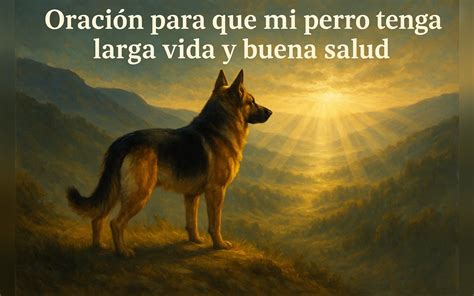 Oración Para Que Mi Perro Tenga Larga Vida Y Buena Salud Oración Diaria