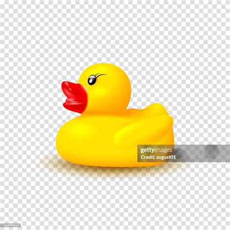 Realistic Vector Rubber Duck High Res Vector Graphic Getty Images