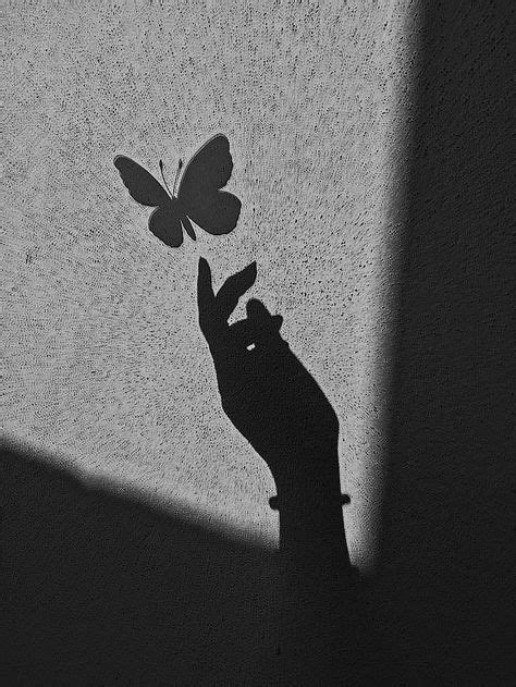 Butterfly Profile Picture Aesthetic